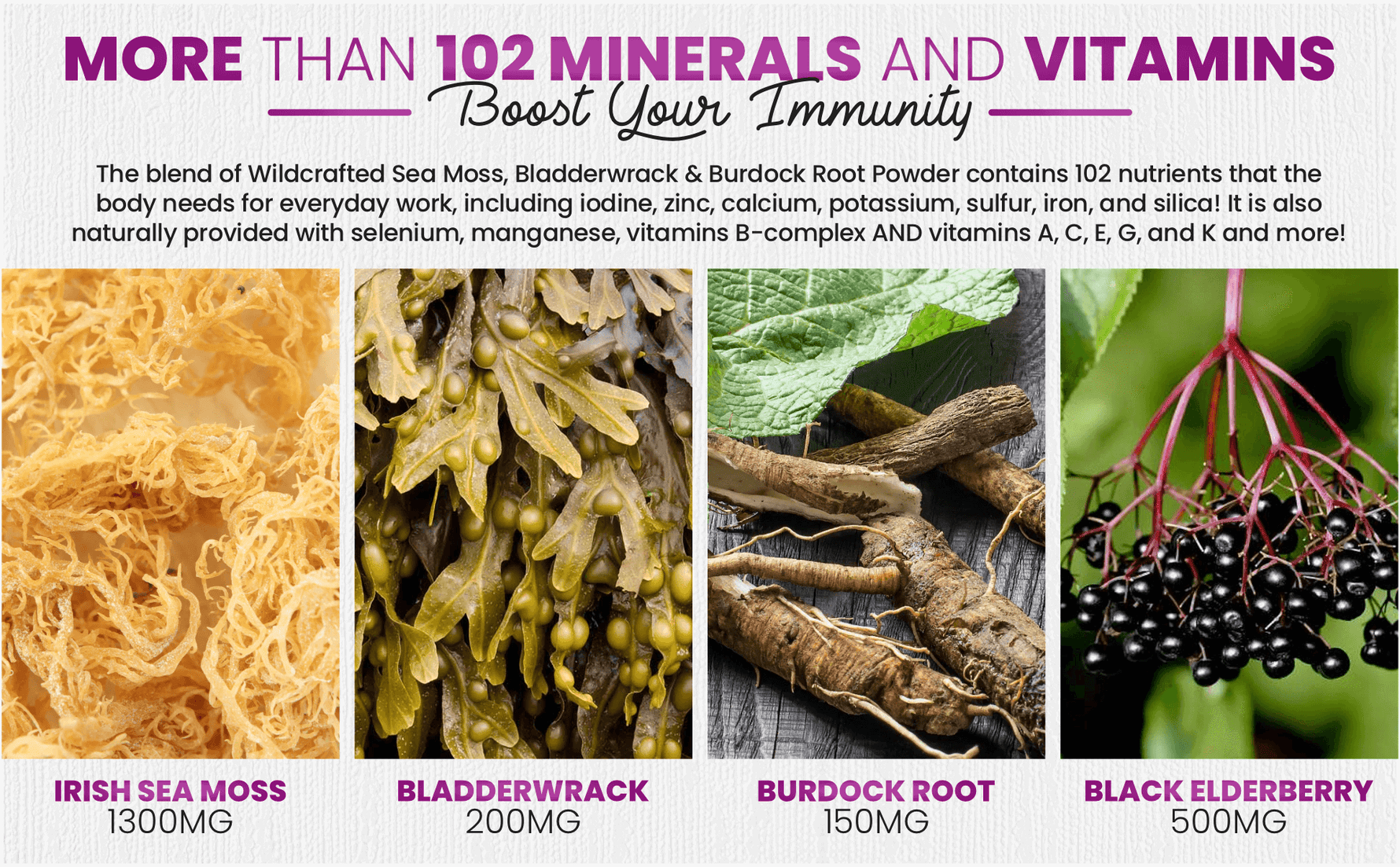 Sea Moss Gummies With Elderberry & Black Seed Oil – Sakoon Nutrition®